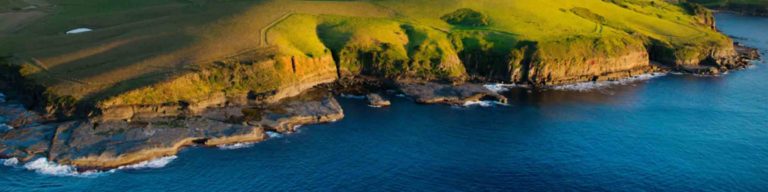 Diggies Kiama - Destination Kiama