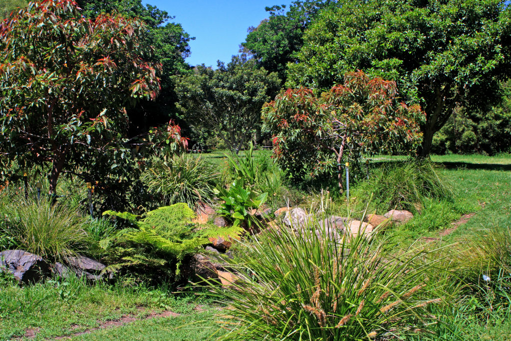 Walking - Destination Kiama