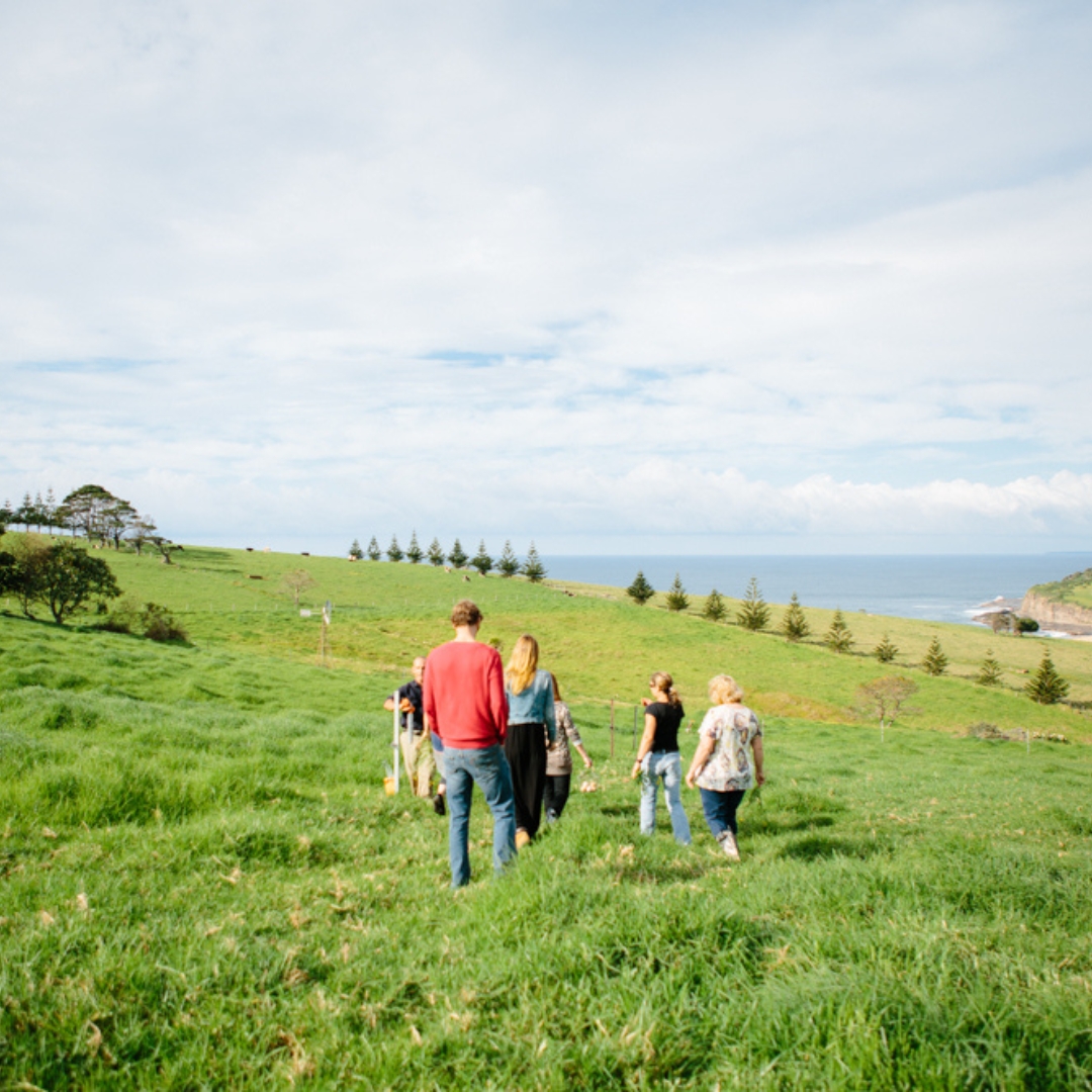 Meet The Kiama Makers - Destination Kiama